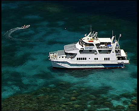 2 Day/ 1 Night Snorkeling Trip - MV Kangaroo Explorer by Cairns Dive ...