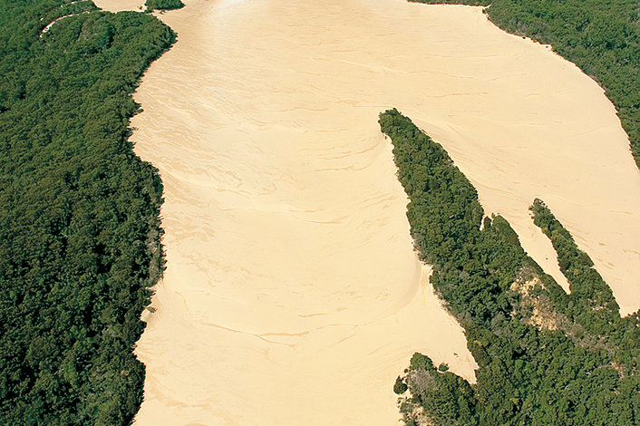 Noosa Everglades Overnight Canoe Discovery by Everglades Eco Safaris ...